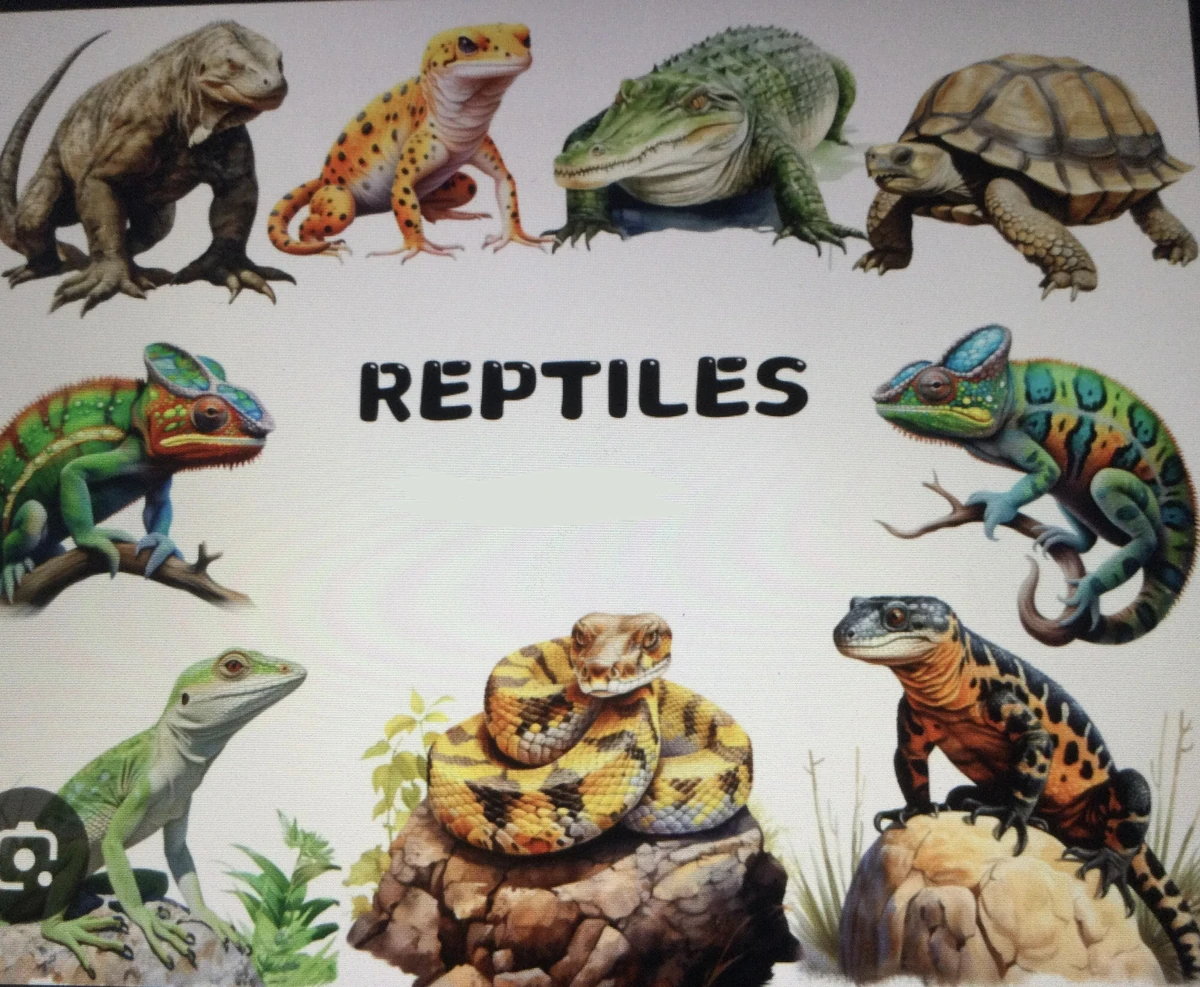 Cold-blooded Synonyms | Synonyms & Antonyms Wiki | Fandom