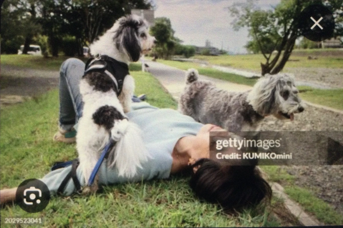 Weary Synonyms | Synonyms & Antonyms Wiki | Fandom