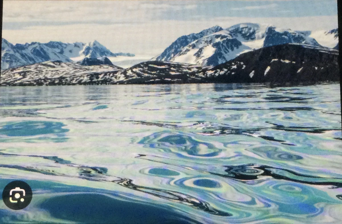 Arctic Synonyms | Synonyms & Antonyms Wiki | Fandom