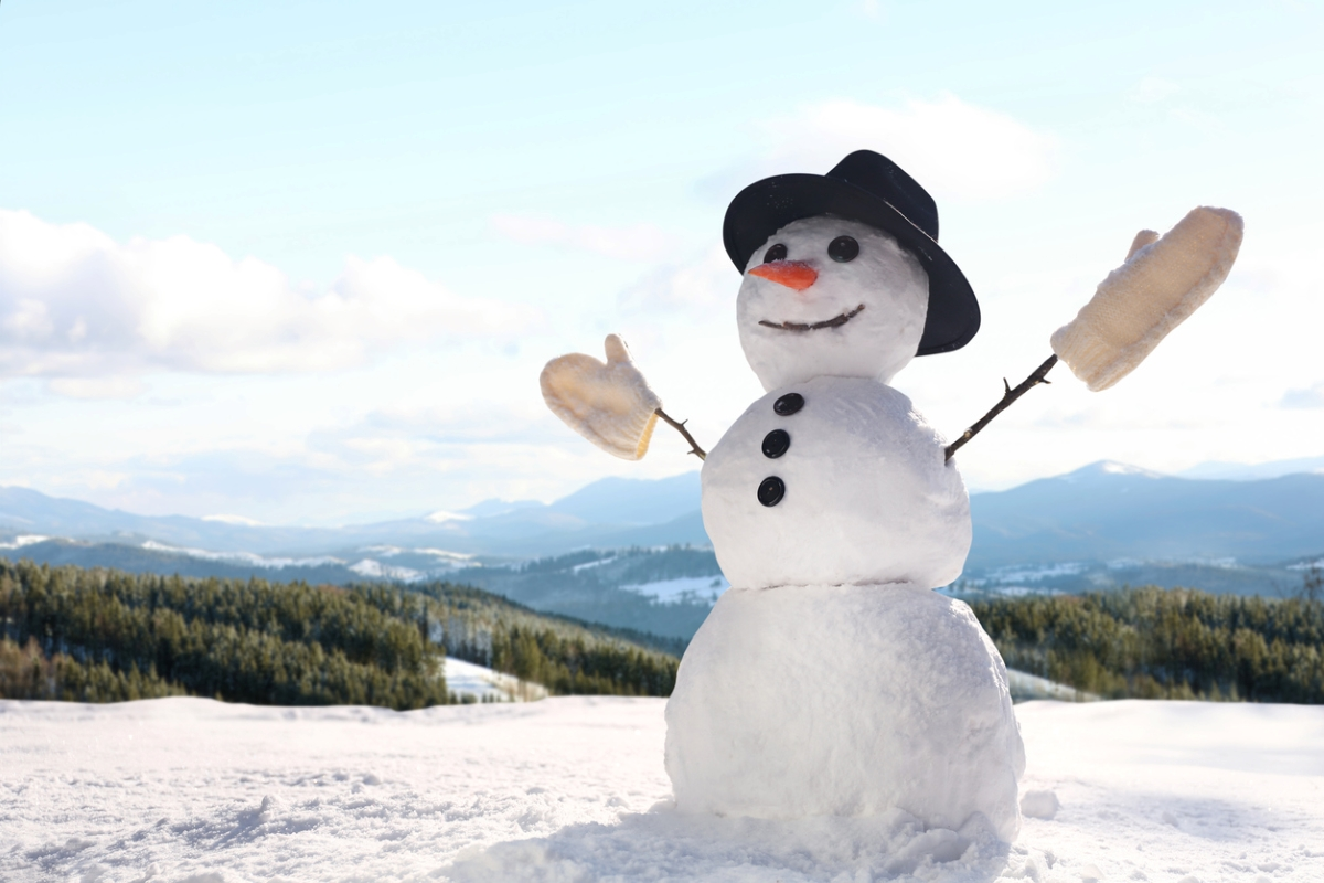 Snowman | Synonyms & Antonyms Wiki | Fandom