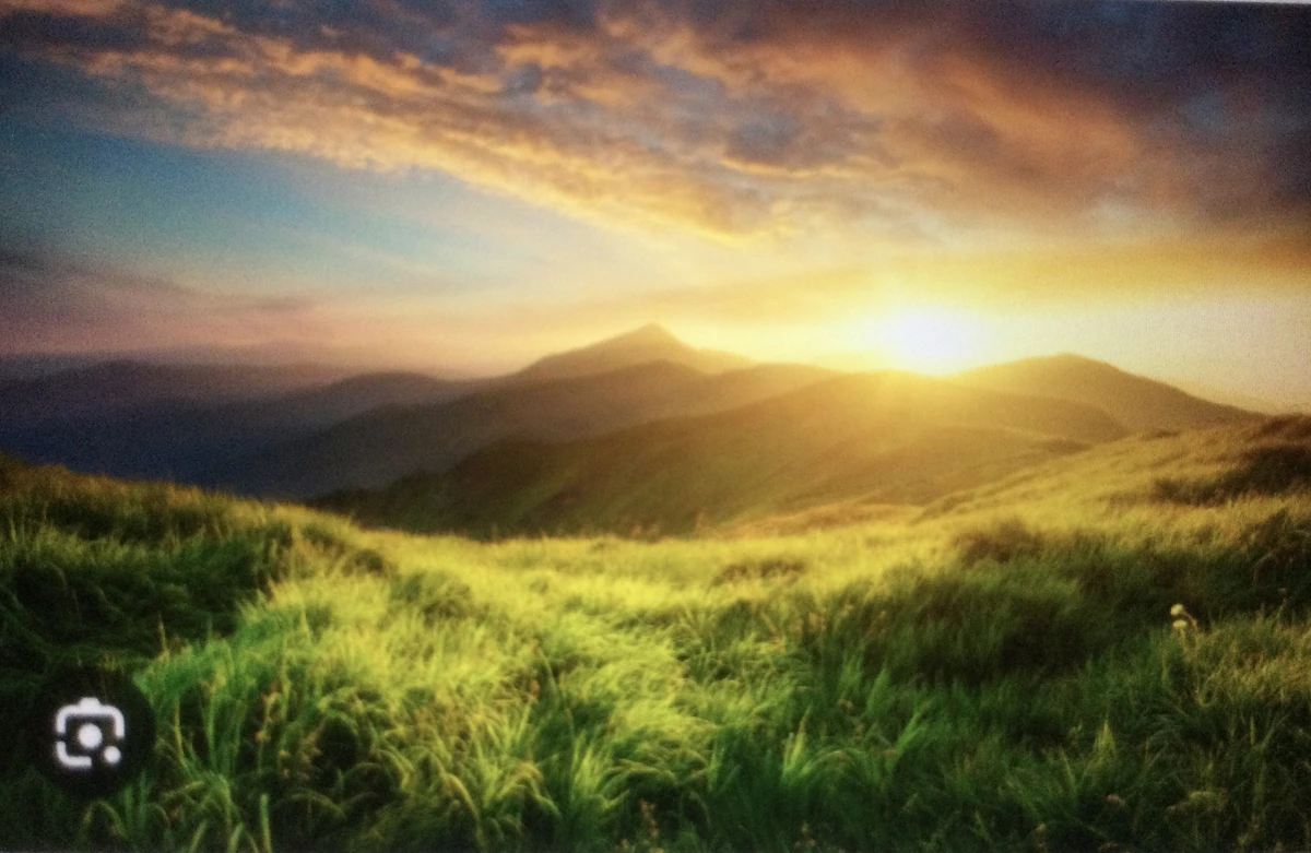 Natural Synonyms | Synonyms & Antonyms Wiki | Fandom