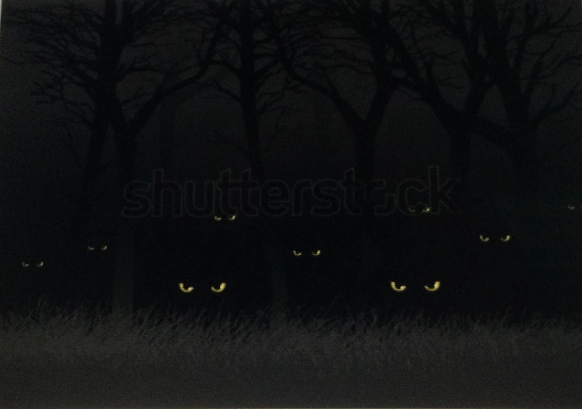 Murderous Synonyms | Synonyms & Antonyms Wiki | Fandom