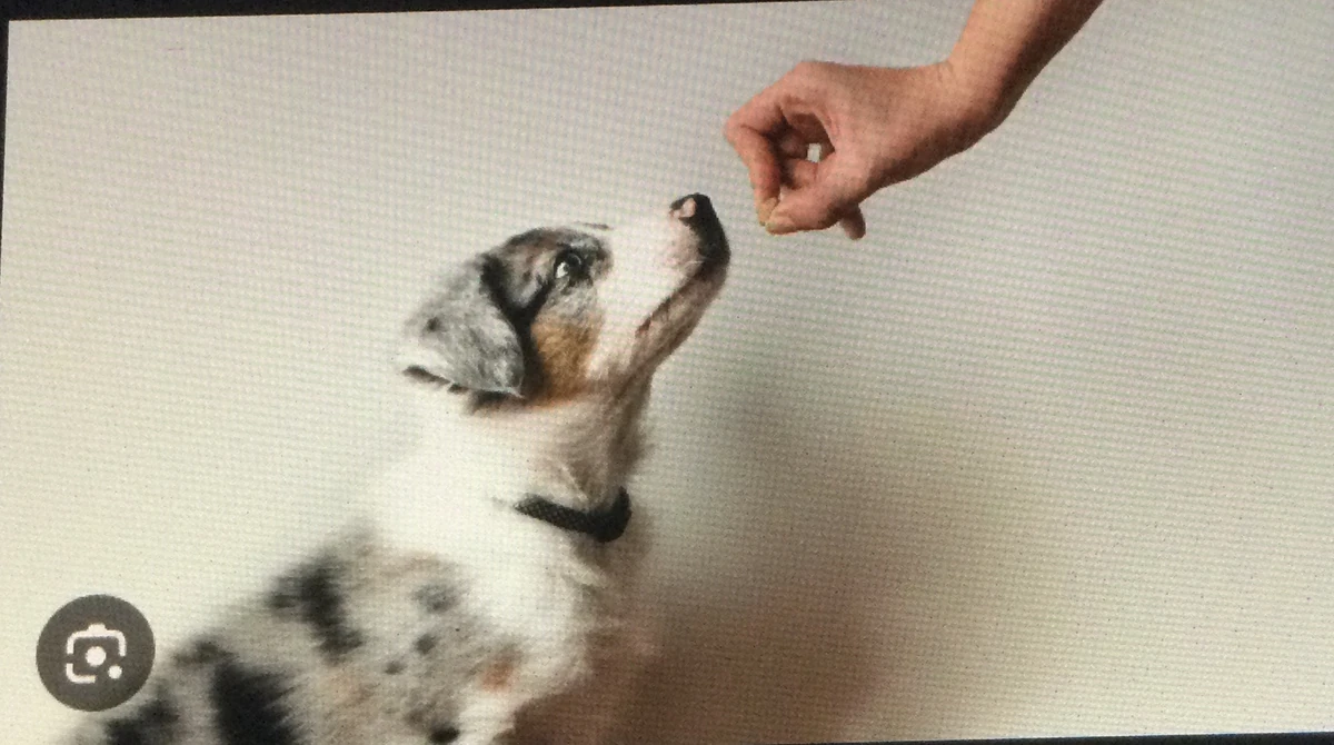 Mellow Synonyms | Synonyms & Antonyms Wiki | Fandom