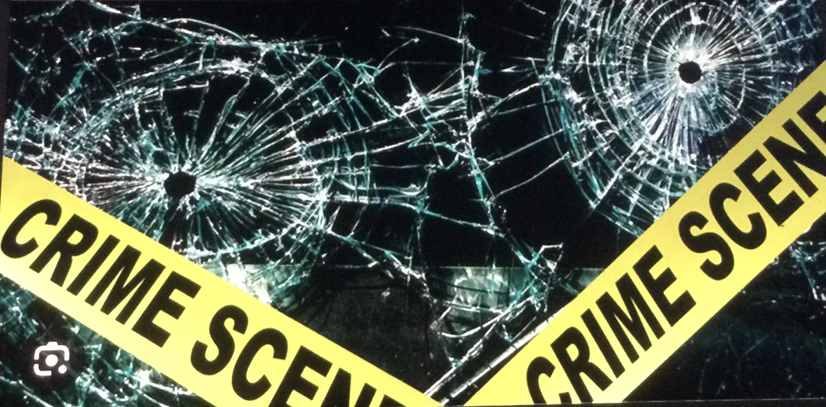 Crime Synonyms | Synonyms & Antonyms Wiki | Fandom