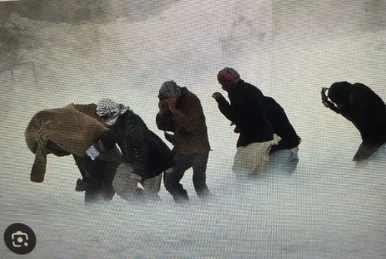 buff muscles synonym