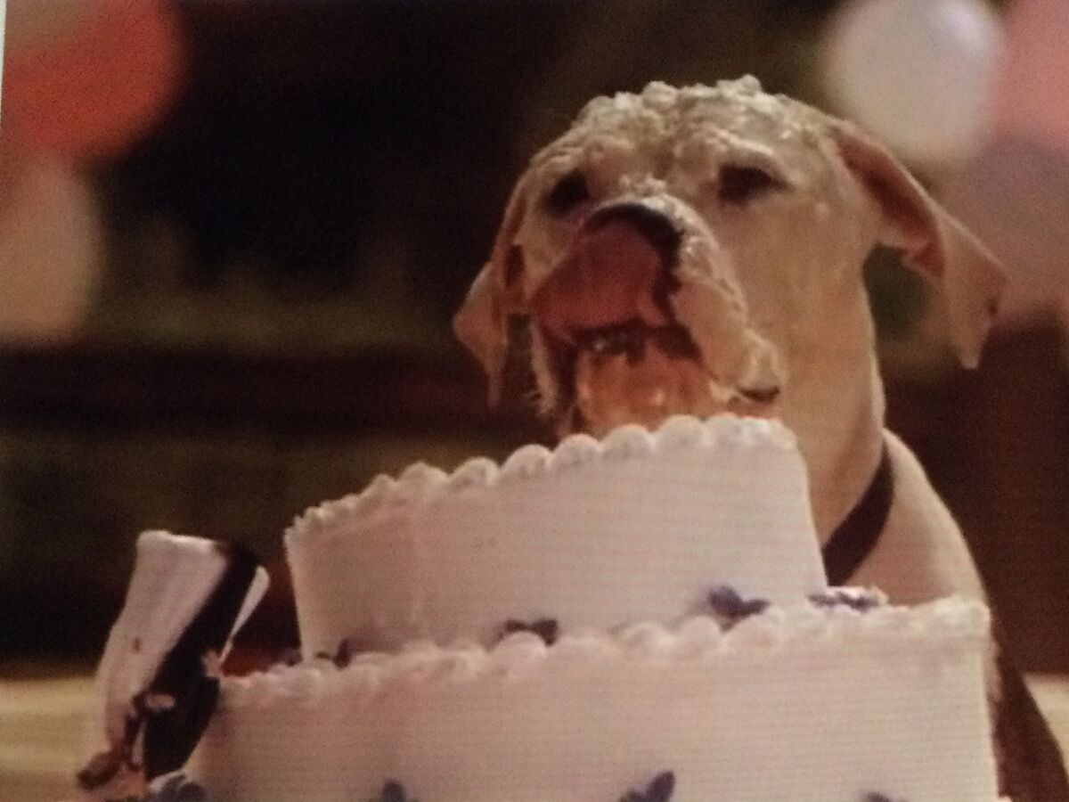 Messy Synonyms | Synonyms & Antonyms Wiki | Fandom