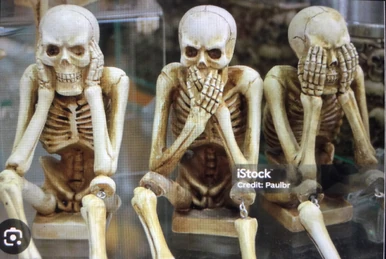 buff muscles synonym