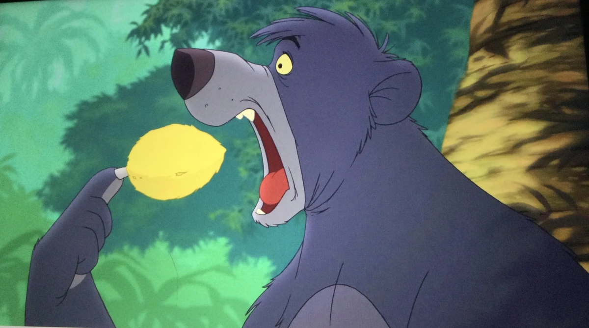 Obese Synonyms | Synonyms & Antonyms Wiki | Fandom