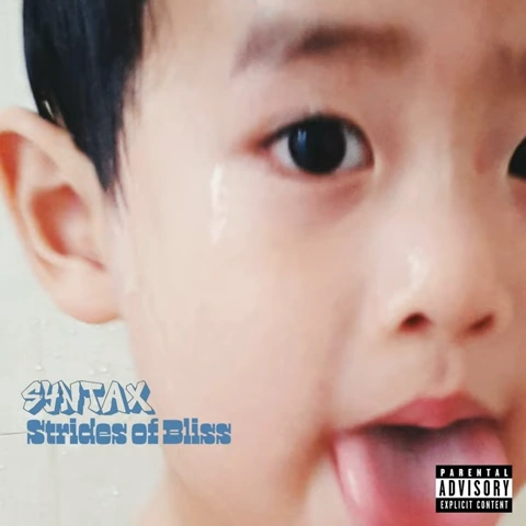 Strides Of Bliss | Syntax (music) Wiki | Fandom