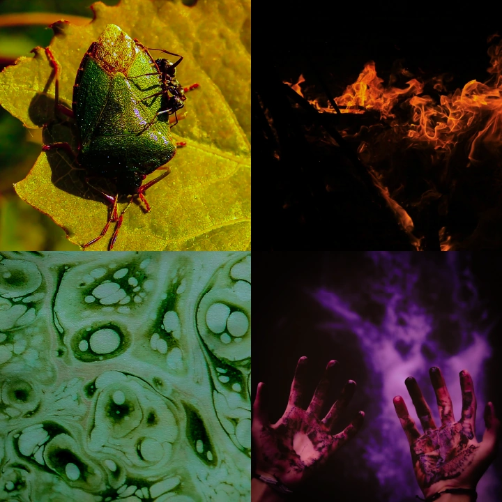 Episode 27: Witness True Loss, and Despair | Syntax Wiki | Fandom