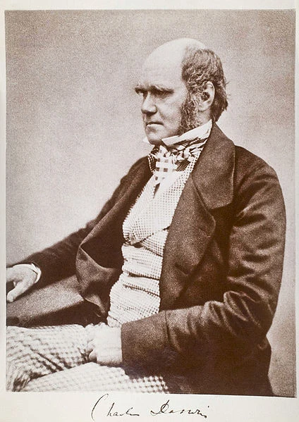 Darwin | System of knowledge Wiki | Fandom