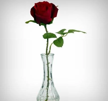 Anomaly-002 | System Purge Wikia | Fandom