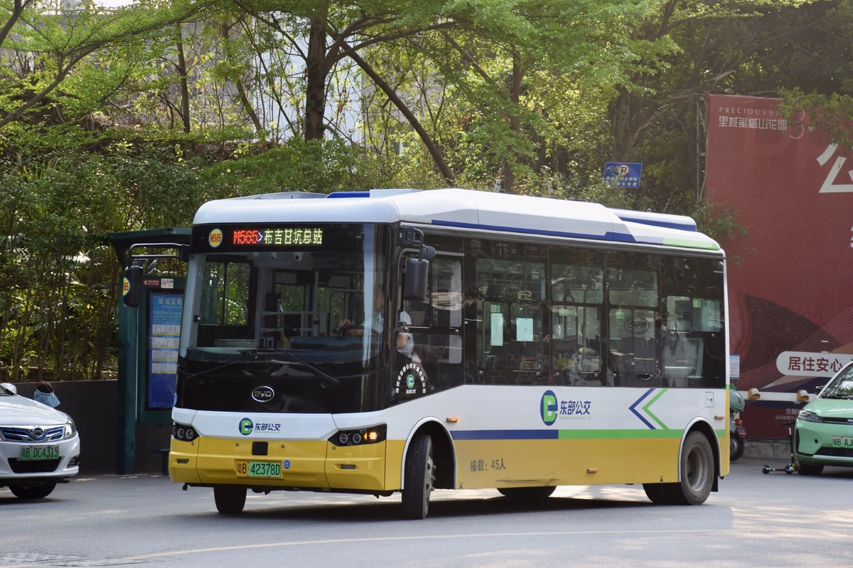 M565路 | 深圳交通百科 | Fandom