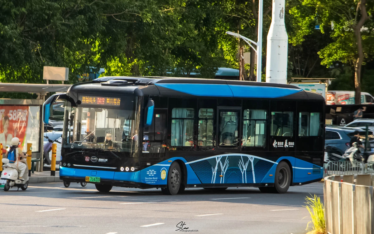 M419路 | 深圳交通百科 | Fandom