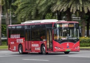 M191路 | 深圳交通百科 | Fandom