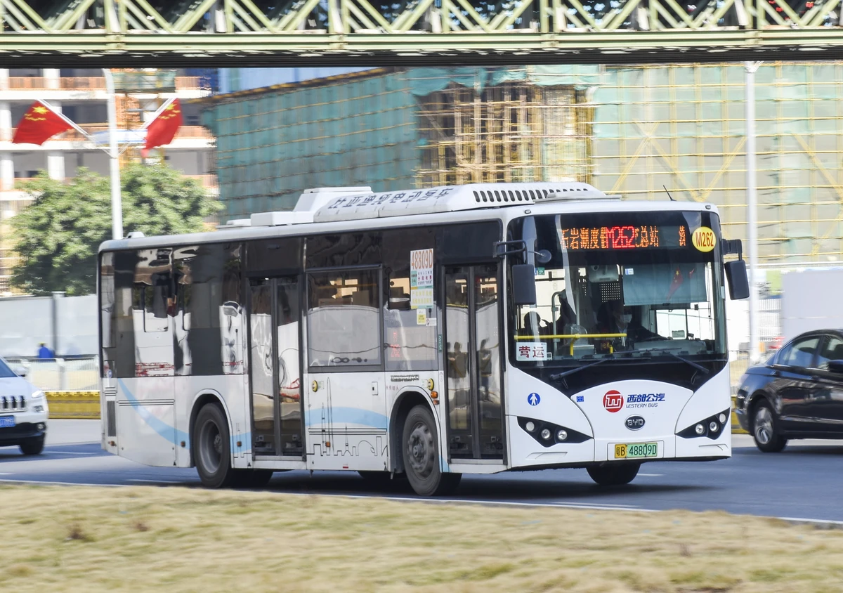 M262路 | 深圳交通百科 | Fandom