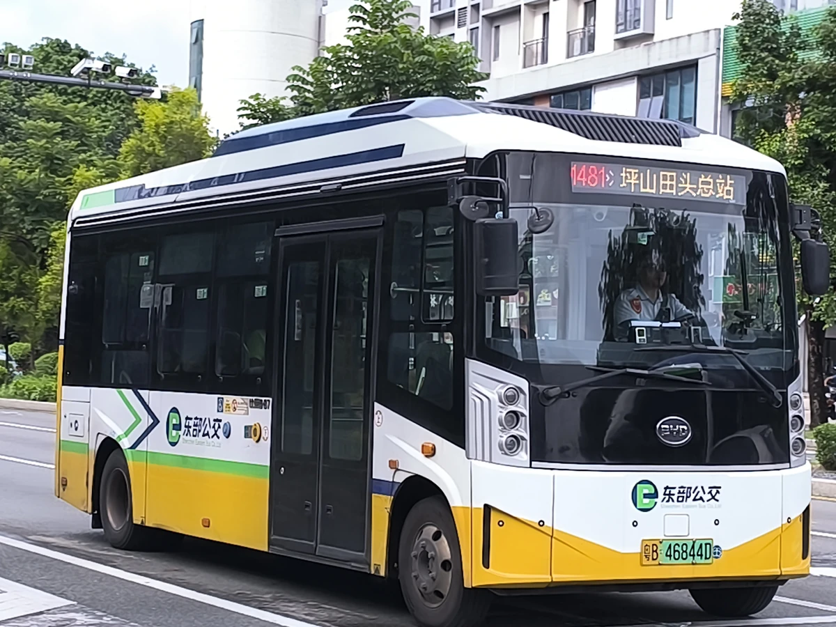 M481路 | 深圳交通百科 | Fandom