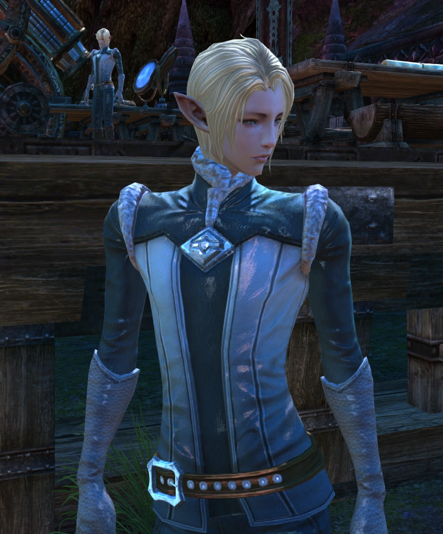 Vardin | TERA Wiki | Fandom