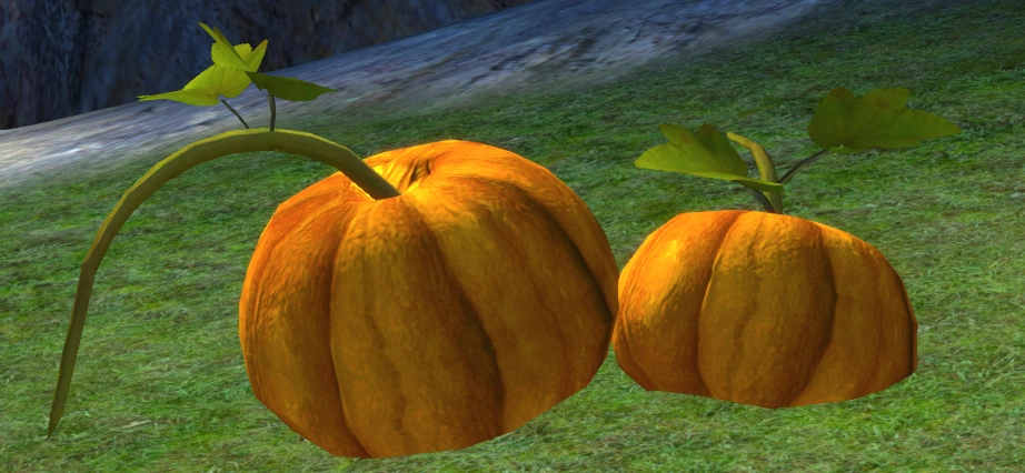 Old Moongourd | TERA Wiki | Fandom