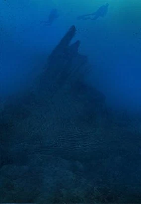 Sulu Sea eel statue | Team Ico Wiki | Fandom