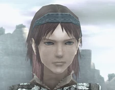 Wander | Team Ico Wiki | Fandom