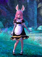 Maid costumes | TERA Wiki | Fandom