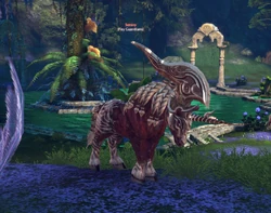 Seravy | TERA Wiki | Fandom