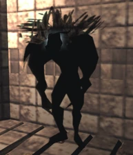 Shadows (ICO) | Team Ico Wiki | Fandom