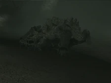 Colossus IX | Team Ico Wiki | Fandom