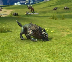 Starving Hyena | TERA Wiki | Fandom