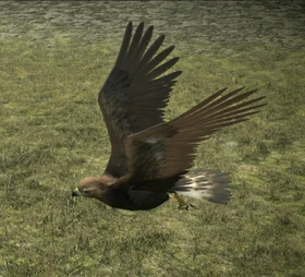 Kites | Team Ico Wiki | Fandom