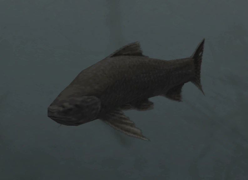 Fish | Team Ico Wiki | Fandom