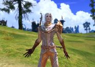 High Elf | TERA Wiki | Fandom