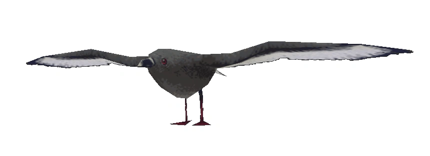 Gulls | Team Ico Wiki | Fandom