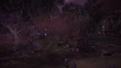Nightwood | TERA Wiki | Fandom
