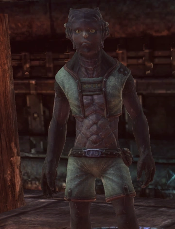 Vikum | TERA Wiki | Fandom