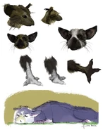 Trico | Team Ico Wiki | Fandom