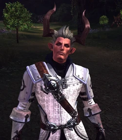 Shade | TERA Wiki | Fandom