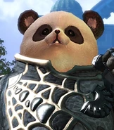 Popori | TERA Wiki | Fandom