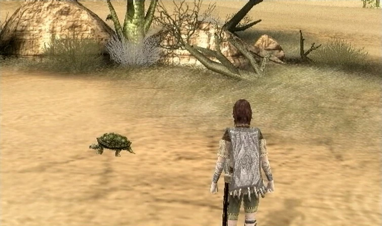 Tortoises | Team Ico Wiki | Fandom