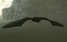 Bats | Team Ico Wiki | Fandom