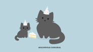 Kitten Lures | Tabby Cat Wiki | Fandom