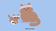 Kitten Lures | Tabby Cat Wiki | Fandom