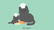 Kitten Lures | Tabby Cat Wiki | Fandom