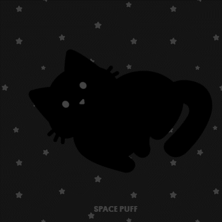 Cats In Zero Gravity Gif