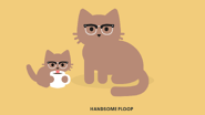 Kitten Lures | Tabby Cat Wiki | Fandom