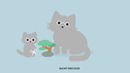 Kitten Lures | Tabby Cat Wiki | Fandom