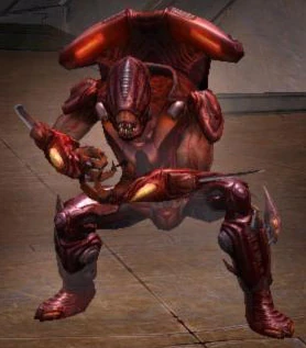 Orax | TaRapedia | Fandom