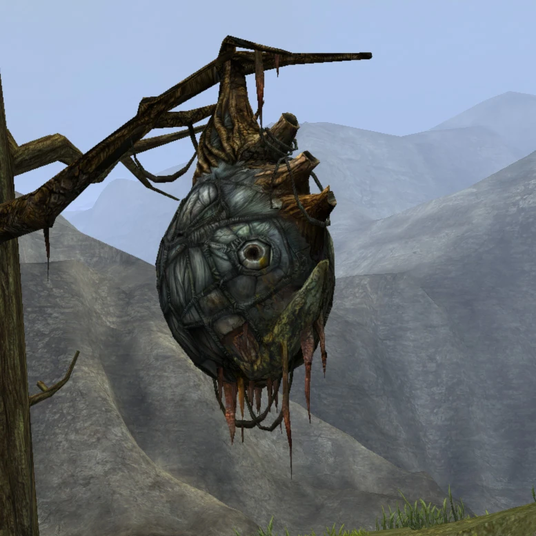 Warnet nest | TaRapedia | Fandom