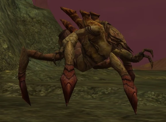 Atta Soldier | TaRapedia | Fandom